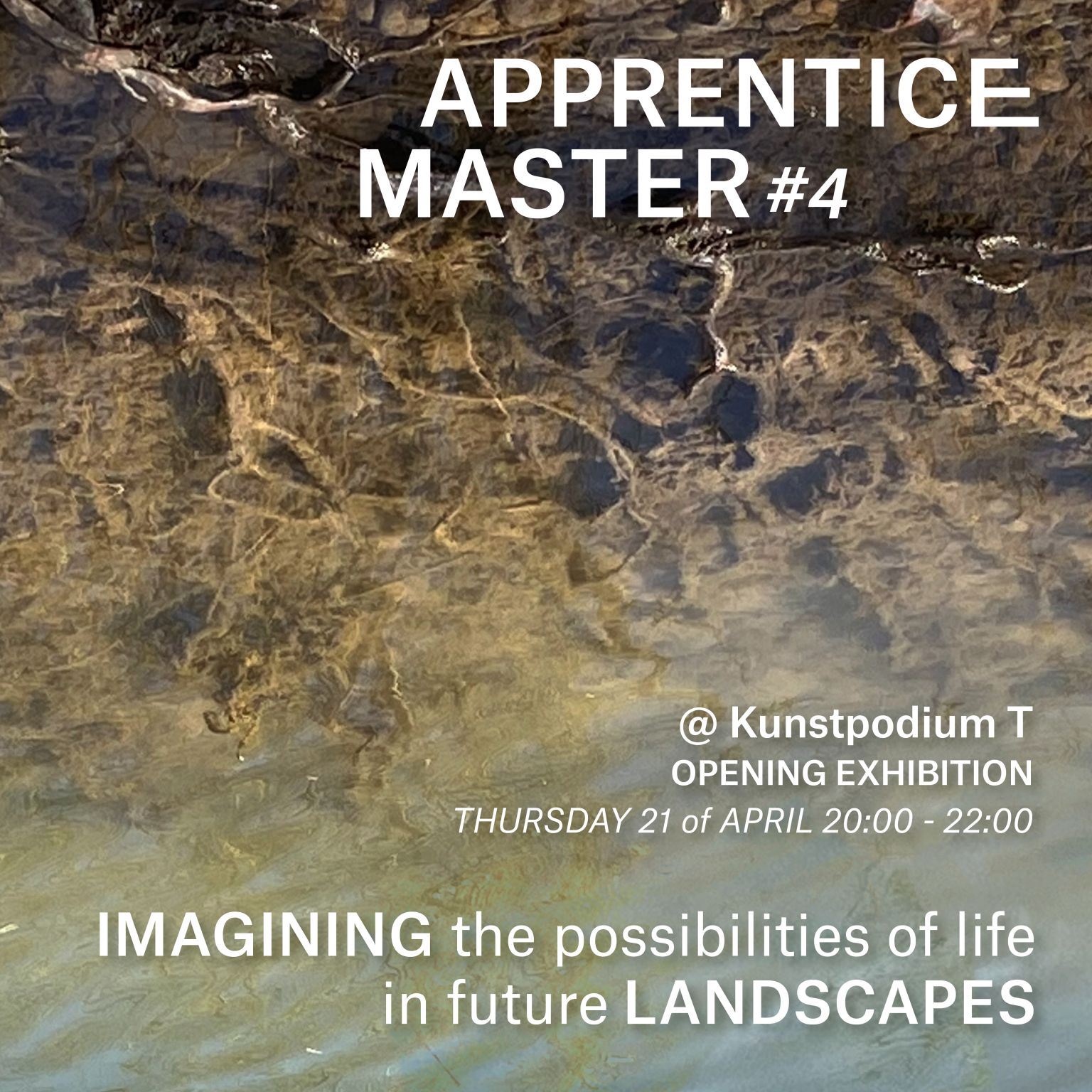 Sculpturen en schilderijen - Annette Kombrink